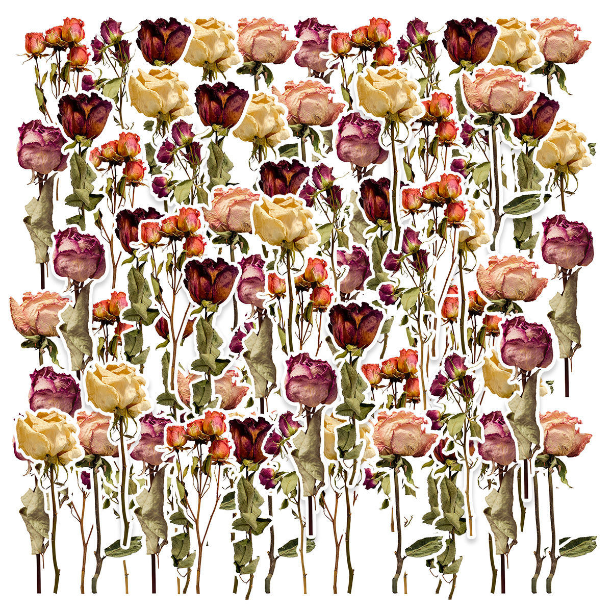 7Sheets Retro Withered Rose Style Stickers , Seis Rosas Simples + 1 ...