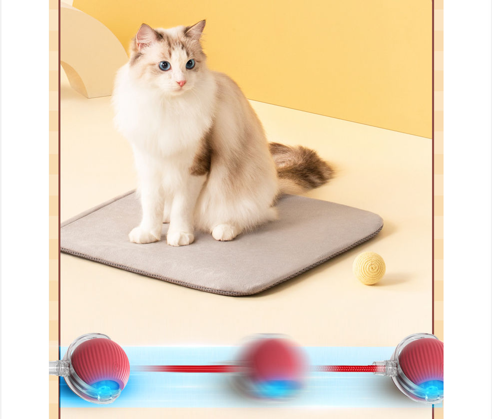 Super Drive Cat Rolling Ball Sensor De Ativação De Movimento Pet Kitten ...