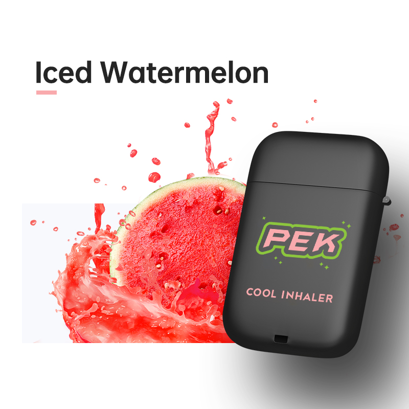 Clamshell PEK Buraco Duplo Vital Oil Energy Bar Inalador Nasal De ...